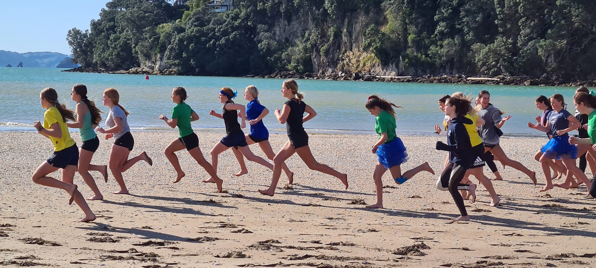 A Cross Country scene to run for! - Waikato Secondary School Sport